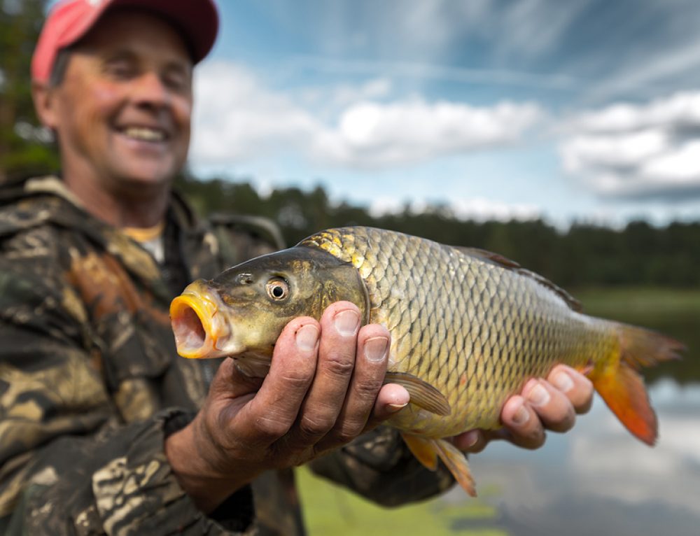 Underwater Green Fishing Lights vs. The BoJo Fishlight – The Bo-Jo ...